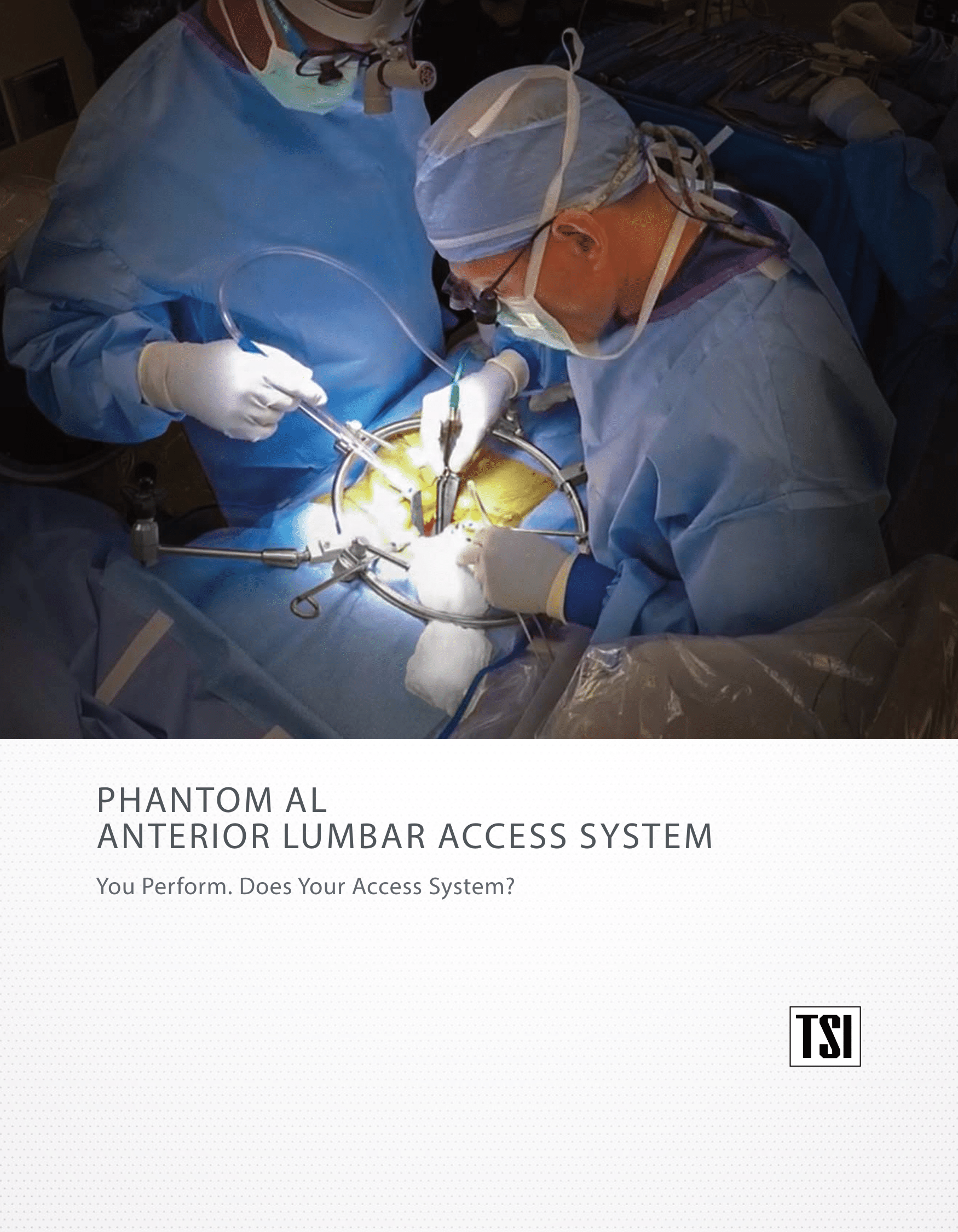 Phantom GS Blades Malleable Blade, 1-1/2 X 6", Stainless Steel - Tedan ...